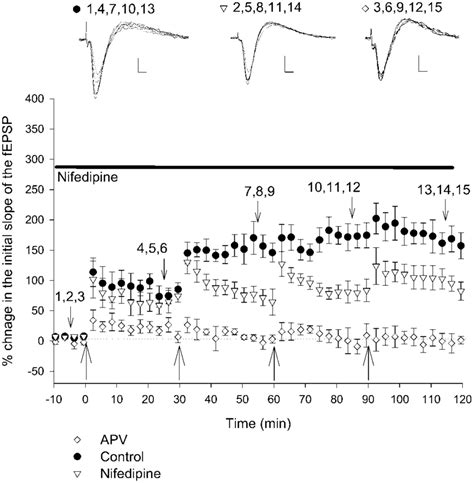 The Magnitude Of Ltp Induced By S Tbs In Control Media And The Download Scientific Diagram