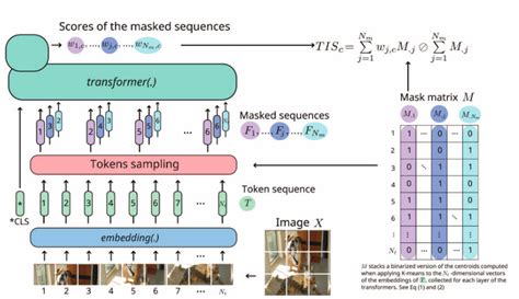 Explaining Through Transformer Input Sampling Geraldin Nanfack