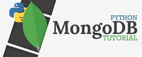 Github E Isgipython And Mongodb Exploring The Relationship Between