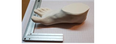 The Model Made Of Plaster Created With The Help Of Alginate Mass Mould