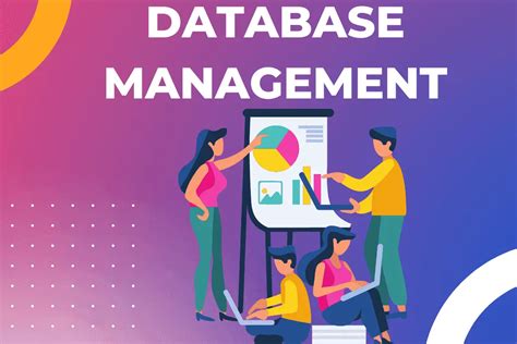 Beginner S Guide To Database Management Rise Institute