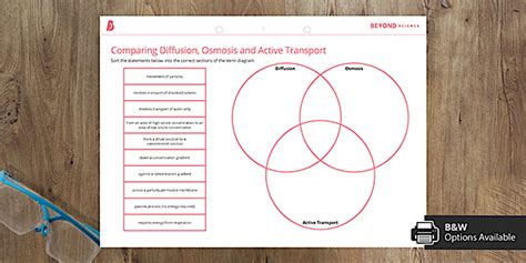 Comparing Diffusion Osmosis And Active Transport Beyond