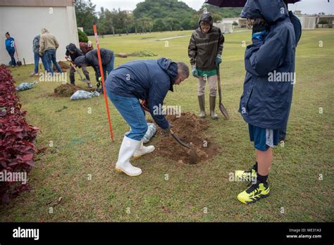Tree Planting Soil Erosion Hi Res Stock Photography And Images Alamy