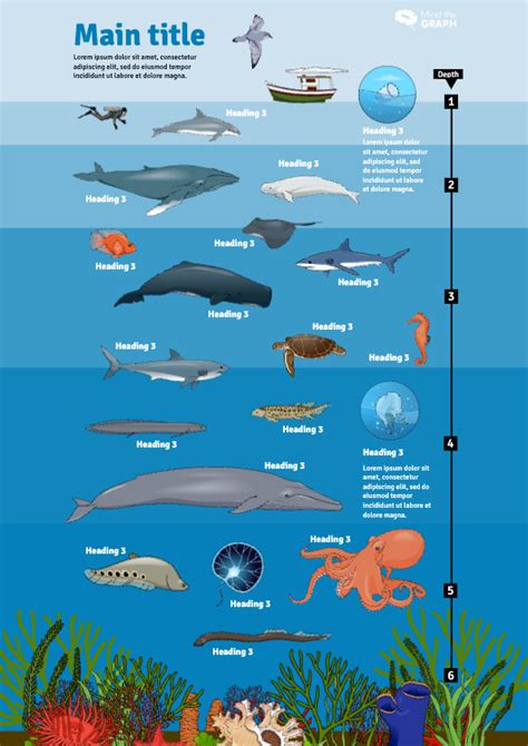 Marine Life Classification Chart With Images Ocean