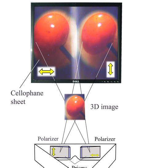 Polarized Light From An Lcd Monitor Is Used To Display A 3d Image The