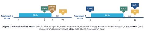 Prid Delta Synchronization For Beef Cows