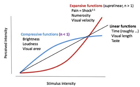 Psychophysical Methods Introduction To Sensation And Perception