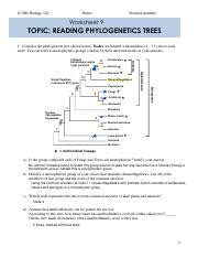 Understanding Phylogenetic Trees Reading Analyzing And Course Hero