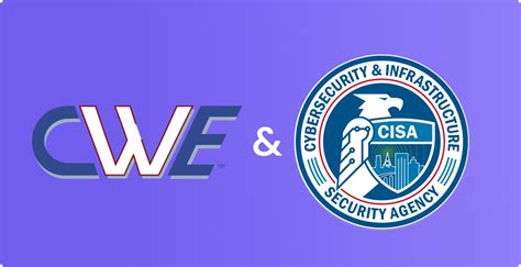 Phoenix Security Vulnerability Data Explorer Cwe Exploration For Appsec