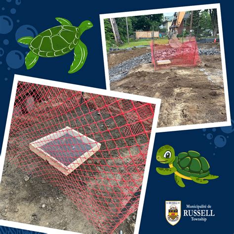 Protecting A Turtle Nest During Construction Township Of Russell