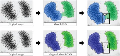 weighted mask r‐cnn for improving adjacent boundary segmentation suh