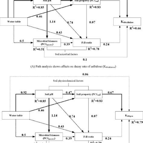 Path Model Structure Showing Direct And Indirect Effects Of Various