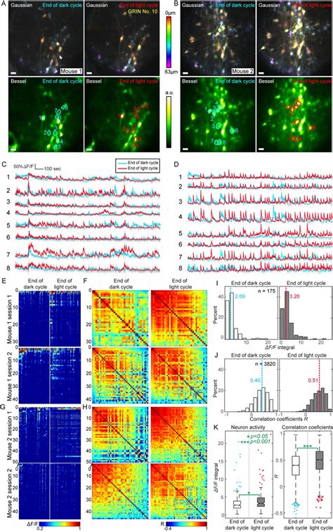 Figures And Data In High Throughput Synapse Resolving Two Photon