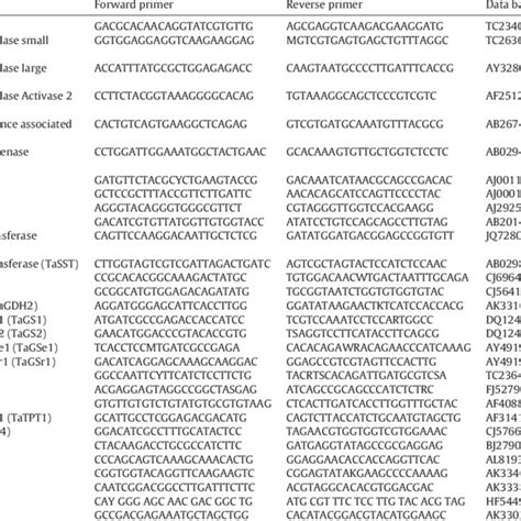 Forward And Reverse Oligonucleotide Primer Sequences Used For Real Time Download Scientific