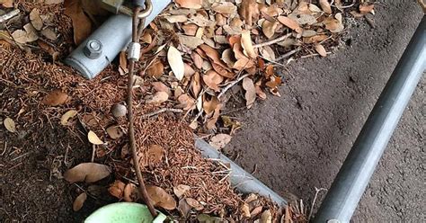 Dont Forget To Lock Your Crocs Imgur