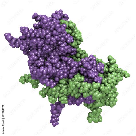 Interferon Gamma Ifng Cytokine Molecule Chemical Structure Stock