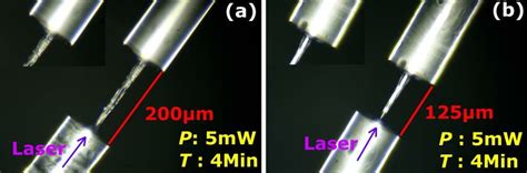 photograph showing a light induced waveguide grown between two