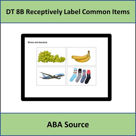 Peak Dt 8b Receptively Label Common Items Set 2 50pts Labels Behavior Analyst Common