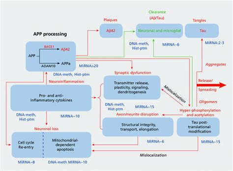 Schematic Overview Of Core Pathophysiological Processes Implicated In