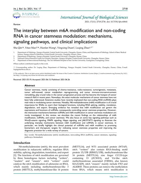 Pdf The Interplay Between M6a Modification And Non Coding Rna In Cancer Stemness Modulation