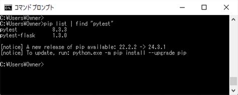 Python単体テスト用フレームワークpytestを利用して単体テストを実装してみたITエンジニアとして経験学習したこと