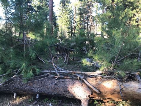 Scouting Tips For Finding The Perfect Hunting Spot OutdoorHub