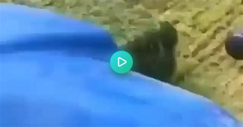 Hay Bale Wrapper Album On Imgur