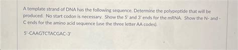 Solved A Template Strand Of DNA Has The Following Sequen