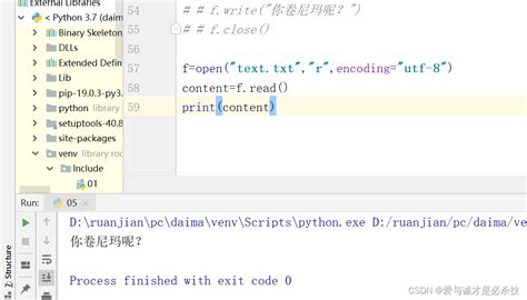 Python文件操作与异常处理指南 Csdn博客