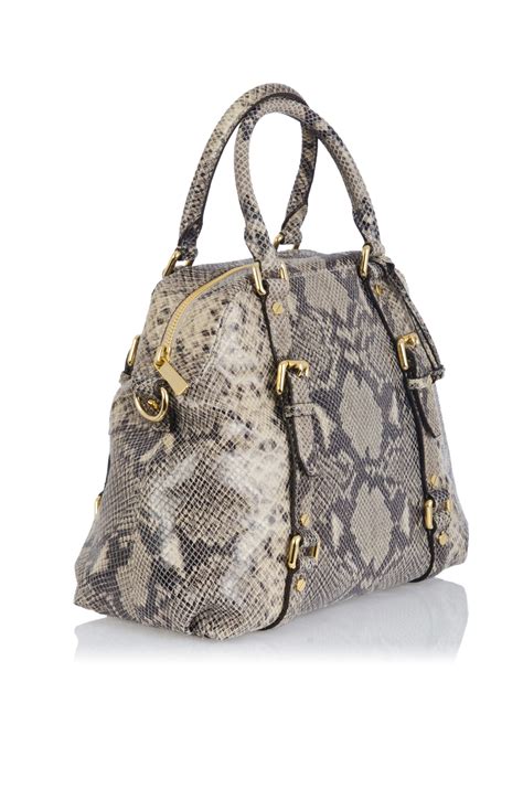 Python Skin Handbags Fall Fashion Trends