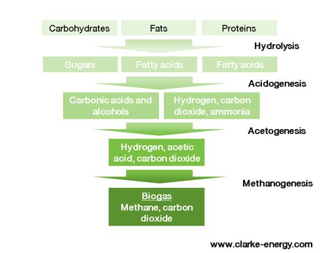 Biogas Formation Diagram Hydrolysis Acetogenesis Acidogenesis