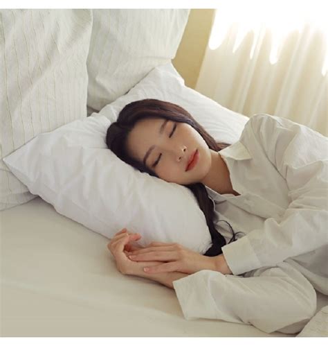 편한잠 통째로 빨아쓰는 목이편한 숙면 베개 슬리프우 레벨1 티몬