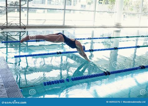Types Of Dives Into Pool At Sean Swick Blog