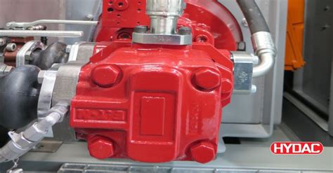 Nirasha Manilall Posted On Linkedin