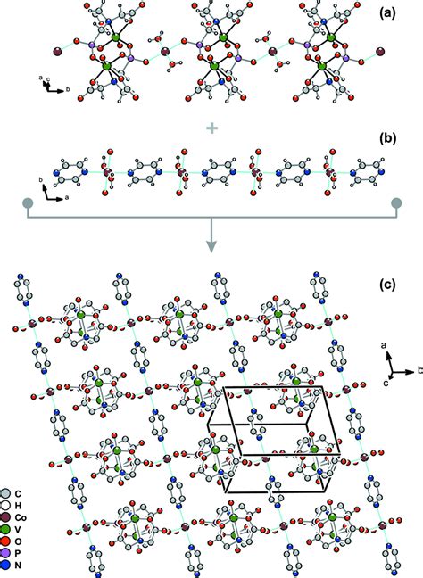Schematic Representation Of The Construction Of The Anionic