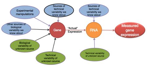 rna seq 详细教程：count 数据探索（4） 测序结果的count怎么看 csdn博客