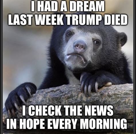 Please Album On Imgur