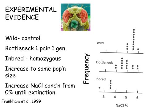 Ppt Does Reduced Genetic Diversity Or Inbreeding Increase Extinction