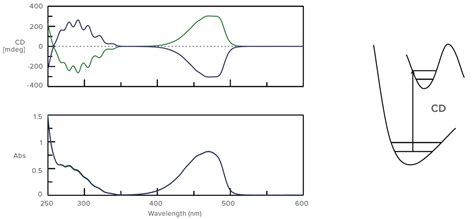 What Is Cpl Spectroscopy Jasco Global