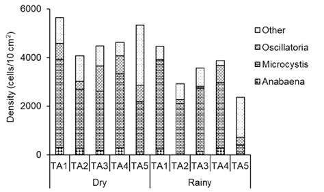 The Abundance Of Benthic Cyanobacteria In The Tri An Reservoir Download Scientific Diagram