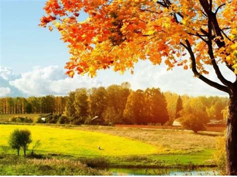 Презентация по русскому языку Склонение имён существительных 4 класс Читать или скачать