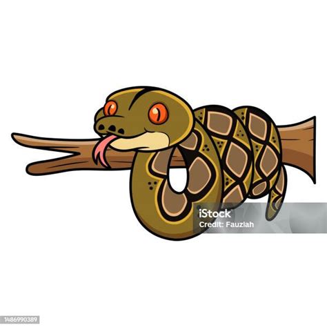 Kartun Python Reticulatus Lucu Di Cabang Pohon Ilustrasi Stok Unduh Gambar Sekarang Alam