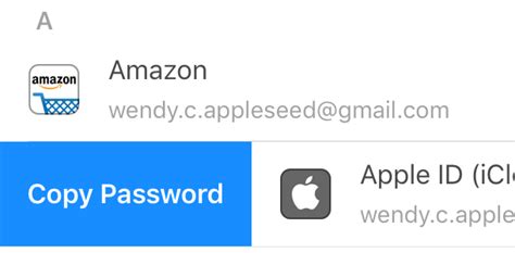 Copy And Fill Passwords Into Apps That Don T Work With 1password