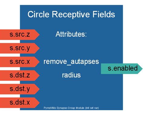 Receptive Fields And Connectivity Pymonnto