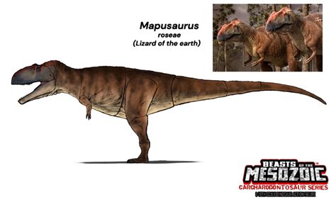 Mapusaurus Roseae Por Kunfuzzledful Mapusaurus Roseae N Gen N Sp