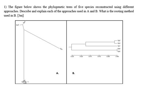 Solved 1 The Figure Below Shows The Phylogenetic Trees Of
