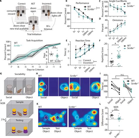 Figures And Data In Prefrontal Pv Interneurons Facilitate Attention And Are Linked To