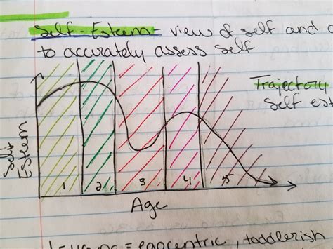 Final Exam Diagram Quizlet
