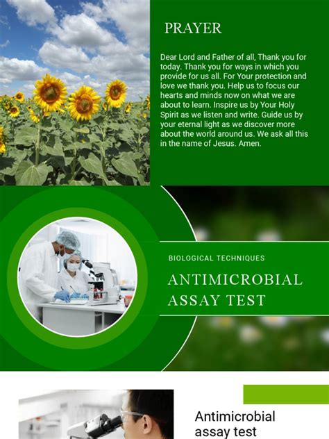 Biological Techniques Pdf Antimicrobial Plants