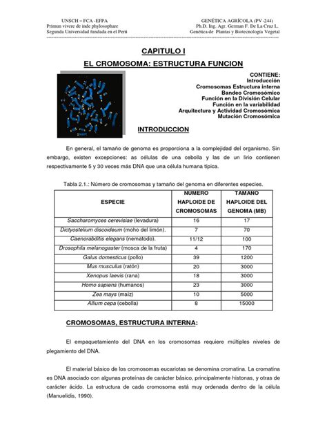 Capitulo 1 Pdf